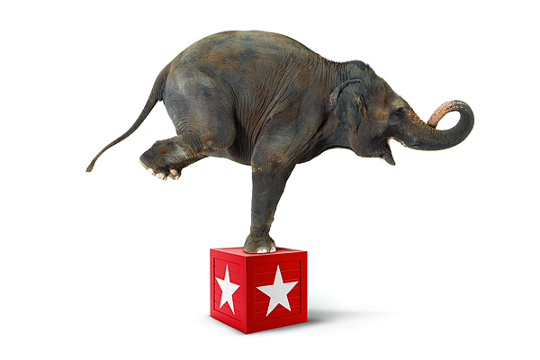 More Lists | What Is a Conservative? 12 Answers from Right-Leaning ...