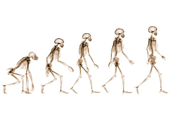 Adam Cohen: Is U.S. Going Backward on Teaching Evolution? | TIME.com